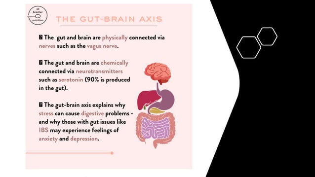 Gut-brain axis.pptx bidirectional communication | PPTX