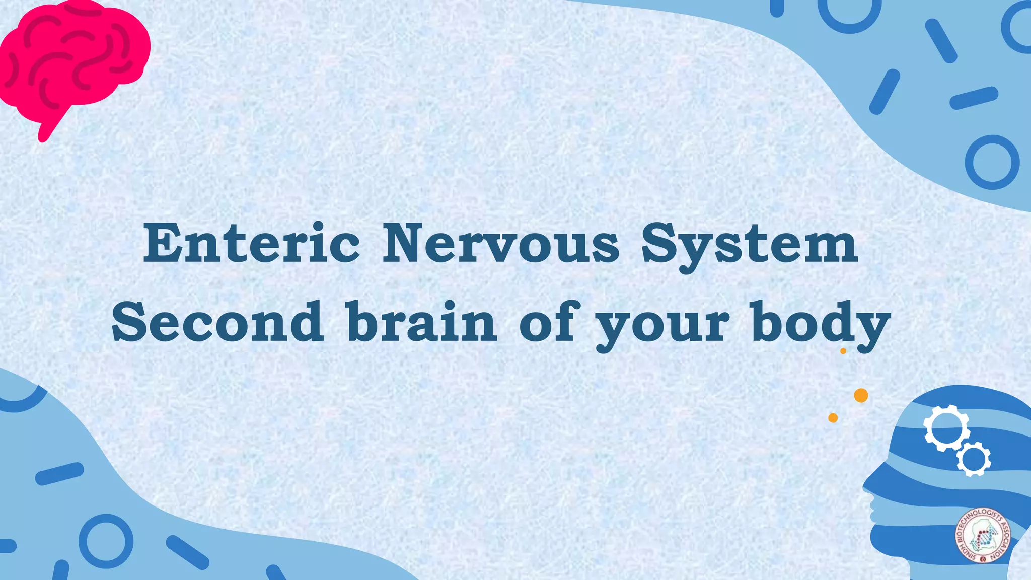 Microbiota and Gut-Brain Axis in Health | PPTX