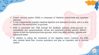 Microbiota and Gut-Brain Axis in Health | PPTX