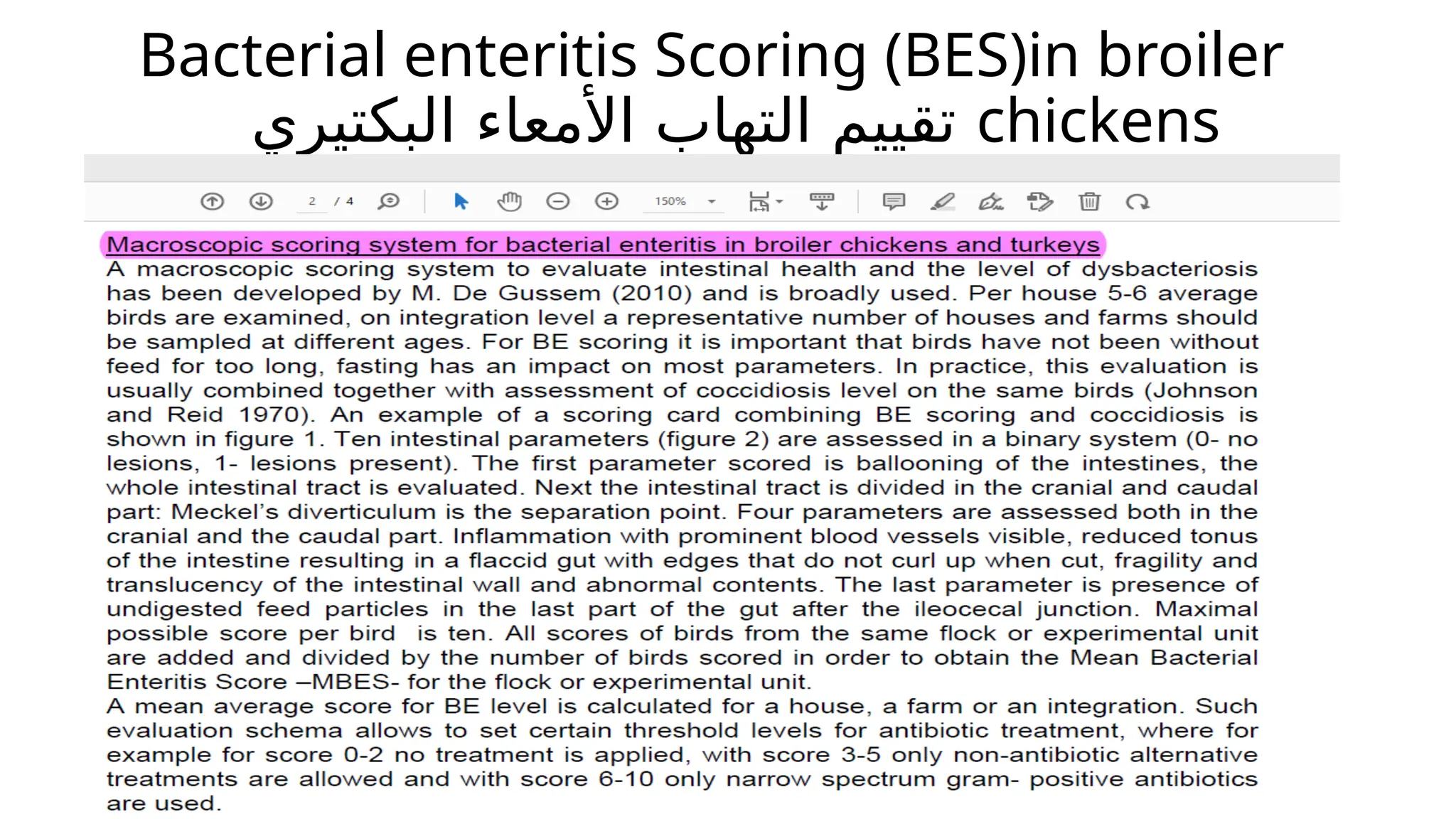 Bacterial enteritis Scoring (BES)in broiler chickensتقييم التهاب ...