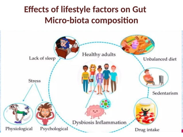 gut brain gram positive or negative bacteria.pptx