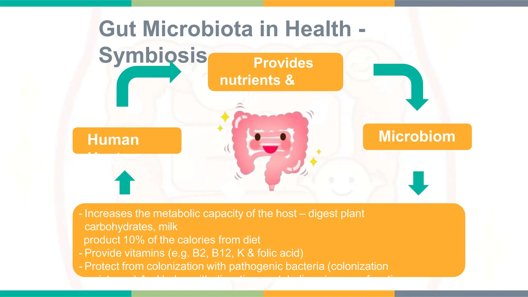 Gut Brain Axiom that you should know.pptx