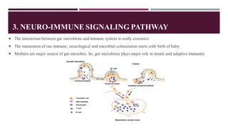 Gut brain axis and mechanism of microbiome in gut | PDF