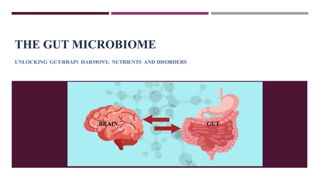 Gut brain axis and mechanism of microbiome in gut | PPT