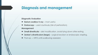 gastrointestinal disorders along with diagnosis and nursing care.pptx