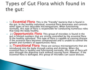 Gut flora and immunity | PPTX