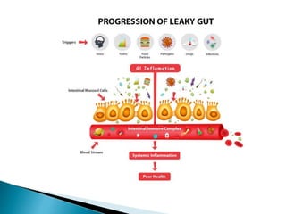 Gut flora and immunity | PPTX