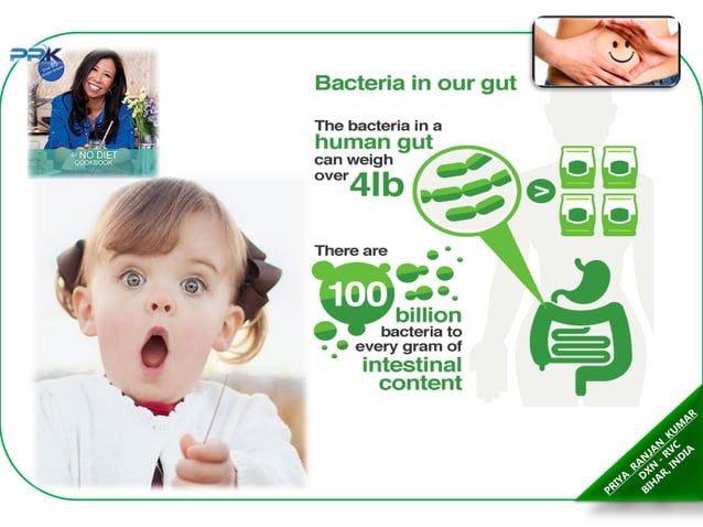 Gut Health | PDF | Digestive Disorders | Diseases and Conditions