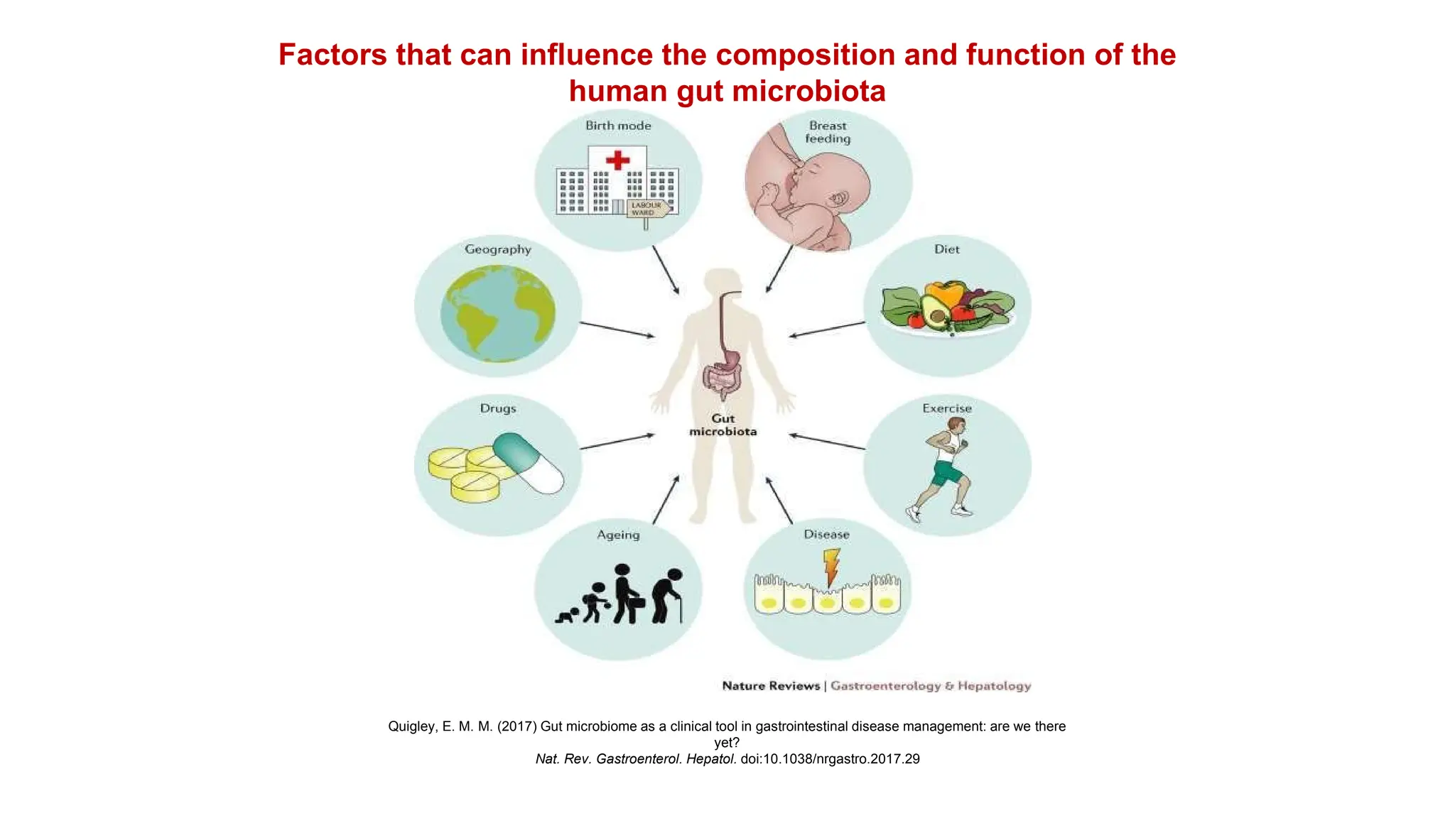 Role of Gut Health and Non Communicable disease .pptx