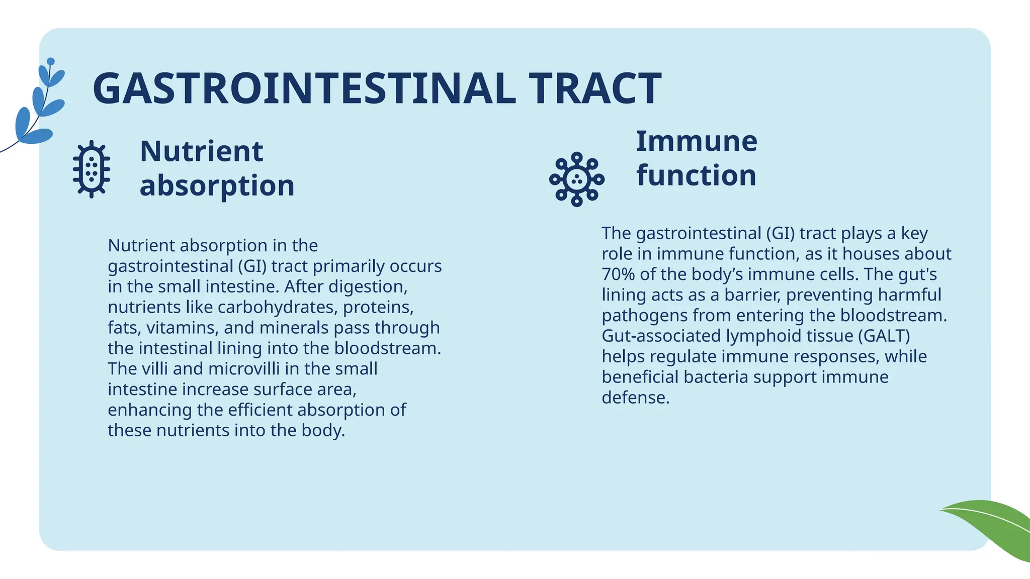 Gut health Prebiotic and probiotics (2).pptx
