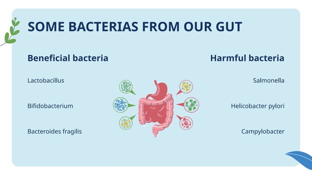 Gut health Prebiotic and probiotics (2).pptx