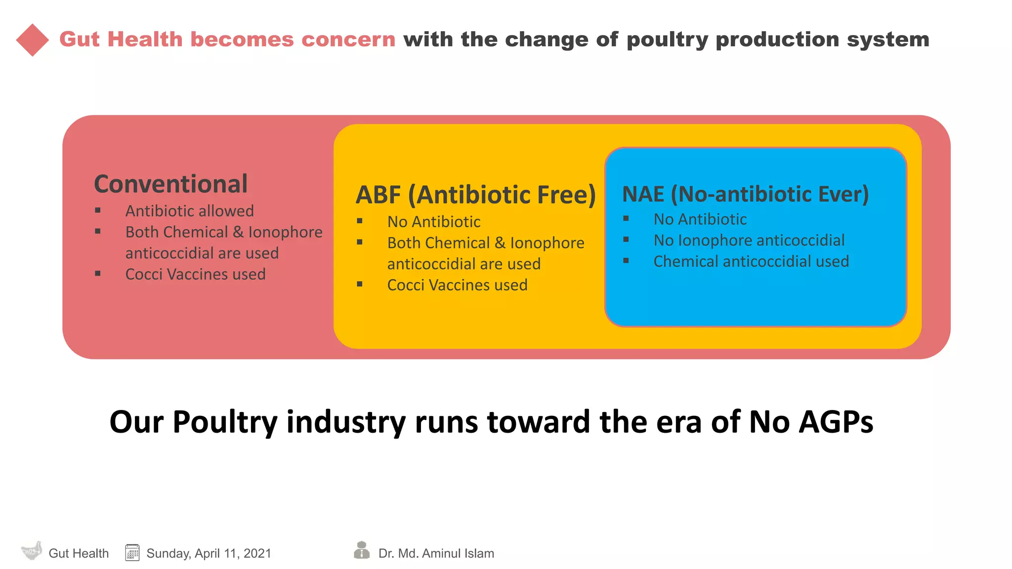 Gut health the pillar of all production success in poultry | PPTX