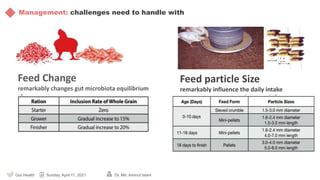 Gut health the pillar of all production success in poultry | PPTX