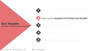 Gut health the pillar of all production success in poultry | PPTX