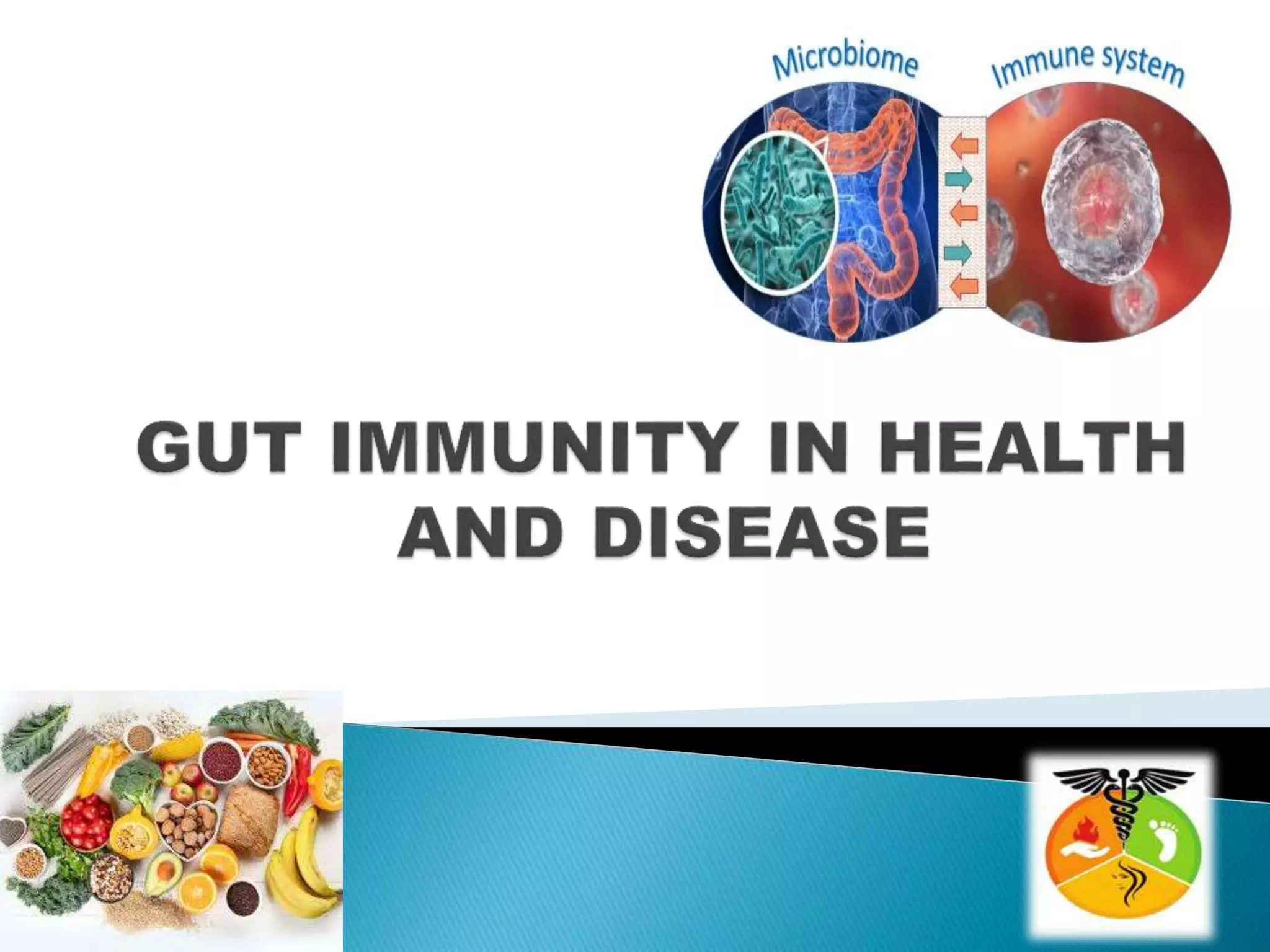 GUT IMMUNITY IN HEALTH AND DISEASE | PPTX