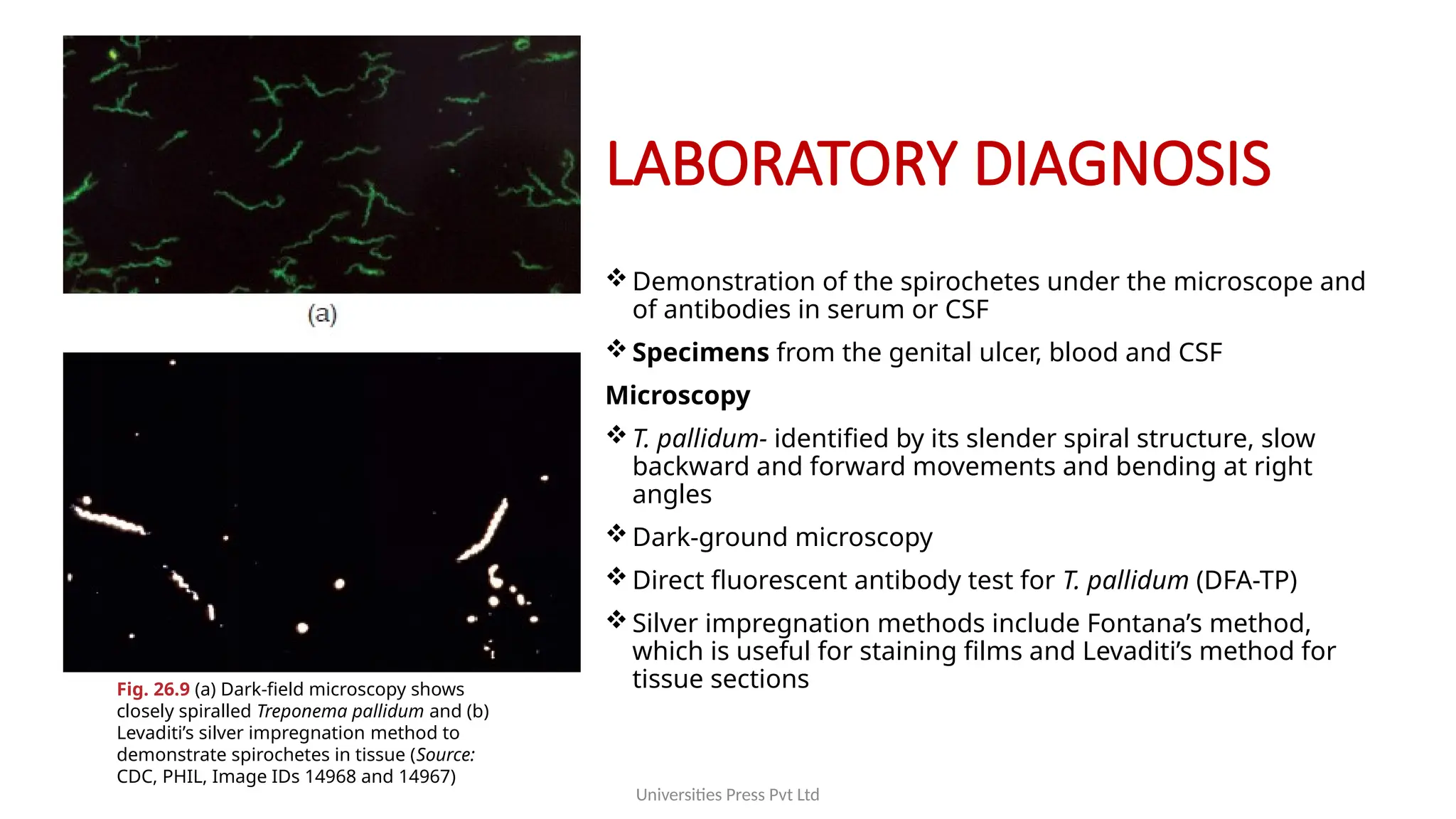 INFECTIVE SYNDROMES OF GENITAL TRACT-1 Part 1 SK | PPTX
