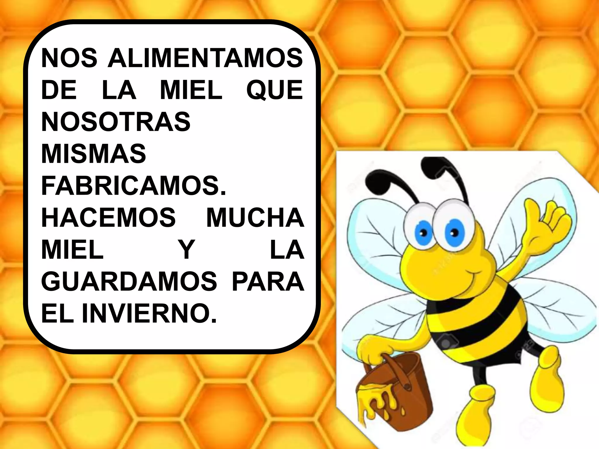 El mundo de las abejas (para nivel inicial) | PPTX | Beekeeping ...