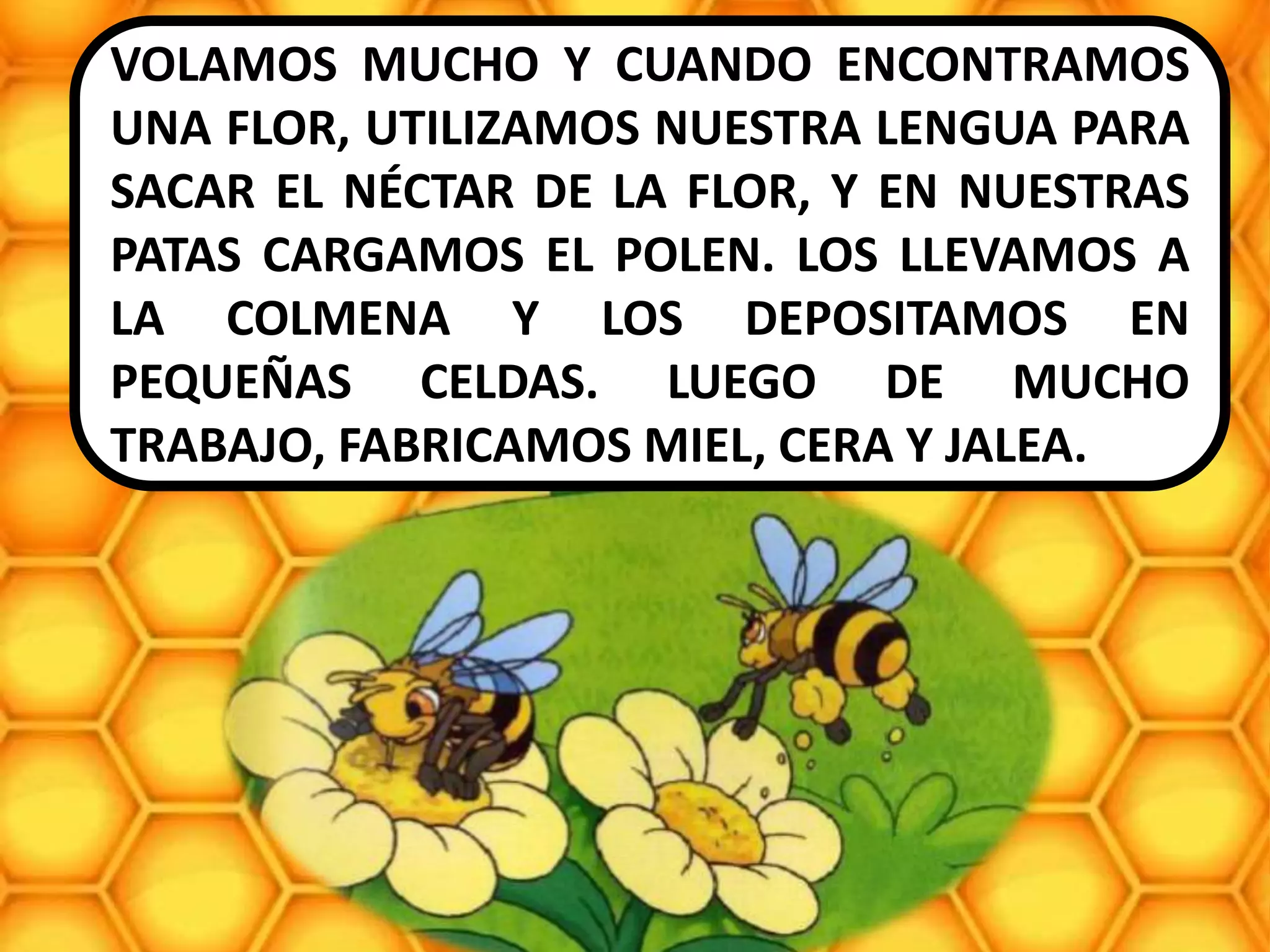 El mundo de las abejas (para nivel inicial) | PPTX | Beekeeping ...