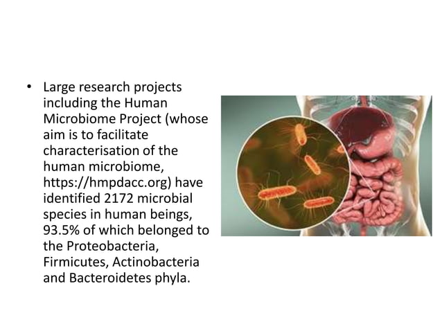 GUT MICROBIOME AND ITS FUNCTIONS IN THE COLON | PPTX | Digestive Disorders | Diseases and Conditions