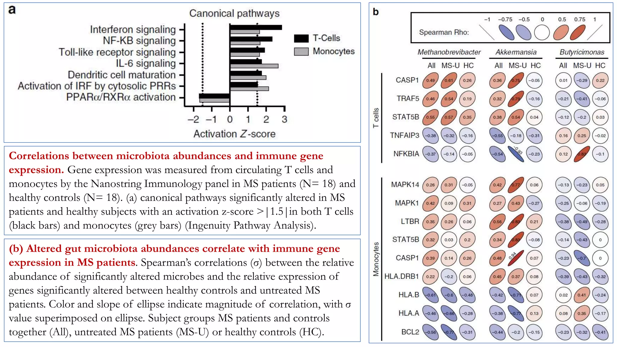 Gut Microbiome and Multiple Sclerosis.pptx