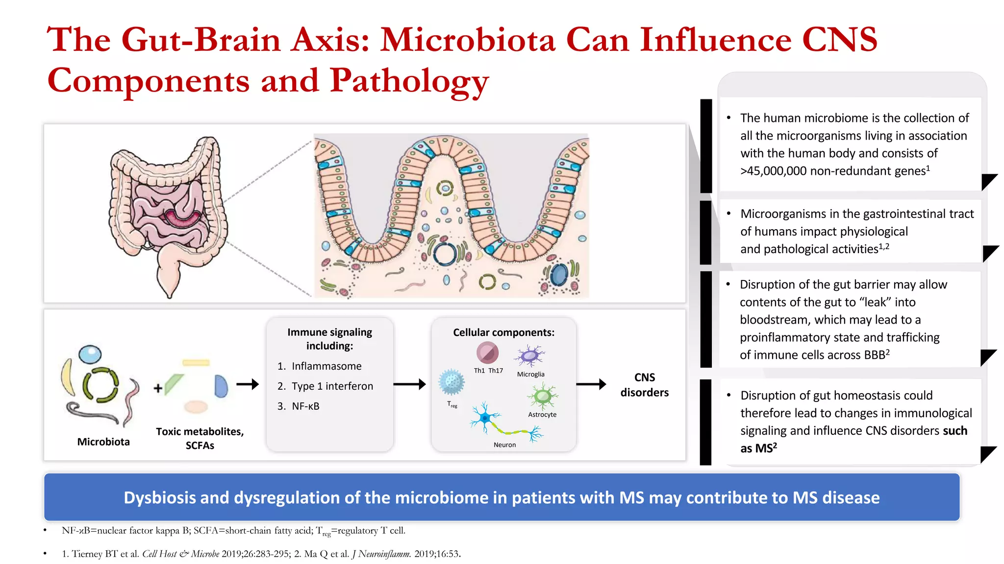 Gut Microbiome and Multiple Sclerosis.pptx