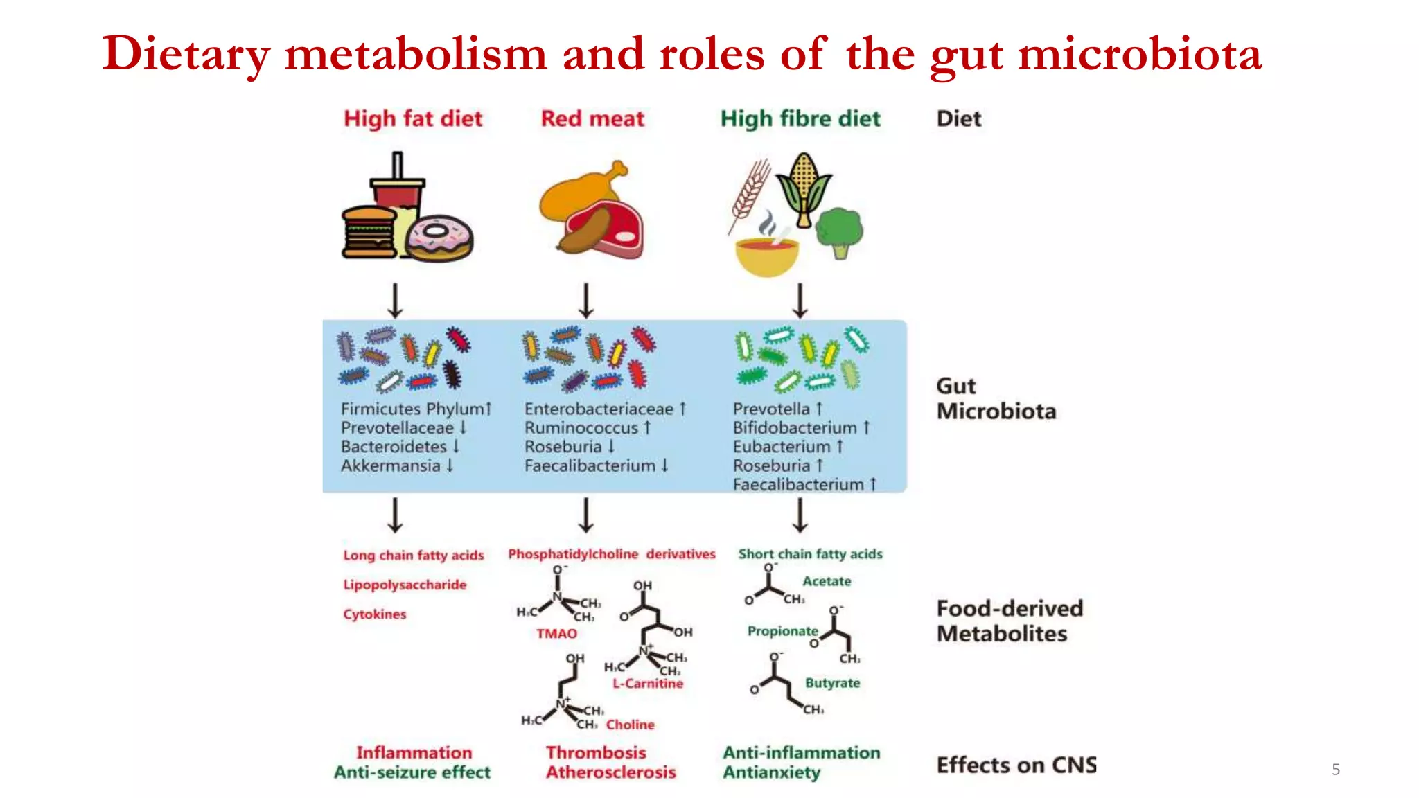 Gut Microbiome and Multiple Sclerosis.pptx