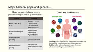 gut microbiome | PPTX