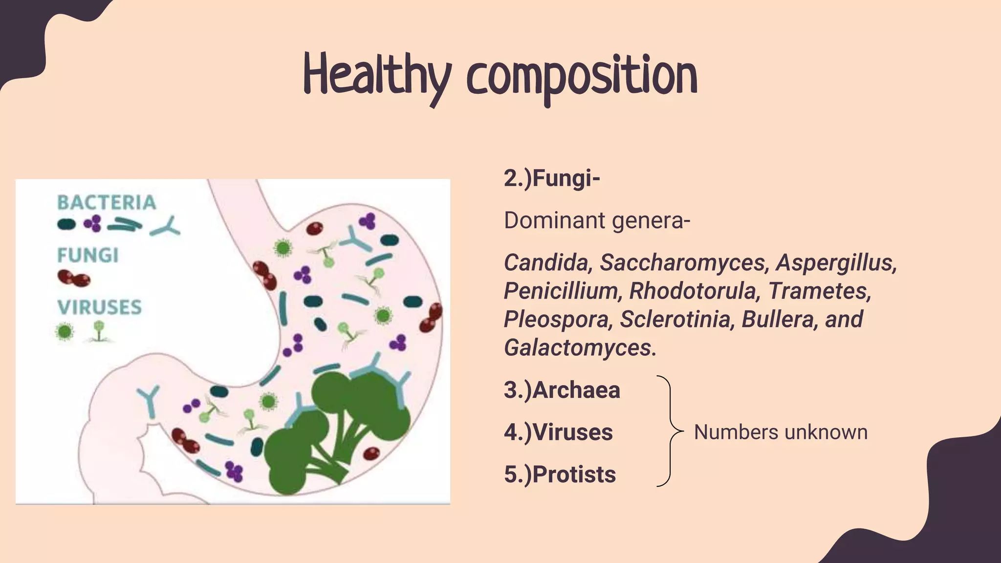 Gut microbiome slideshare | PPTX
