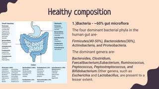 Gut microbiome slideshare | PPTX
