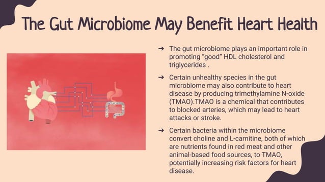 Gut microbiome slideshare | PPTX