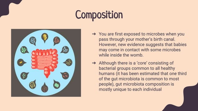 Gut microbiome slideshare | PPTX