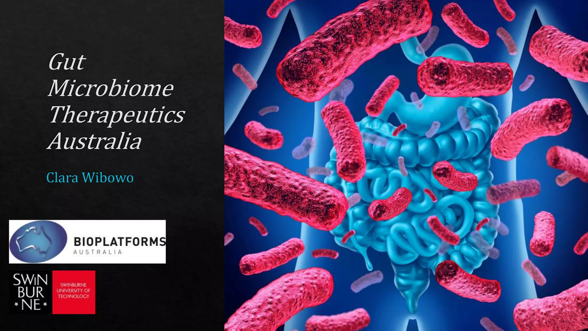 Gut Microbiome Therapeutics Australia | PPT