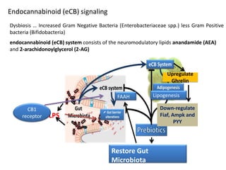 Gut microbiota | PPTX