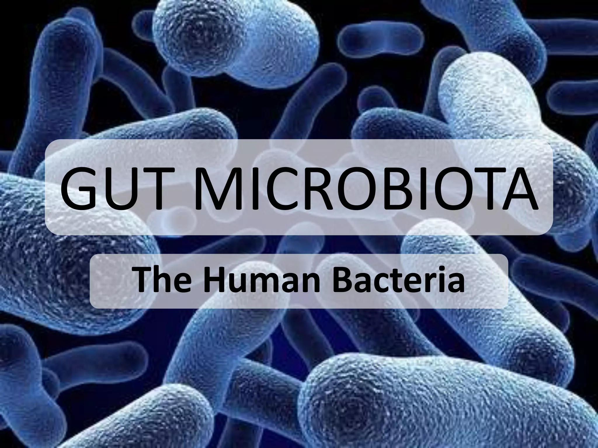 Human Microbiome - Gut Microbiota | PPSX