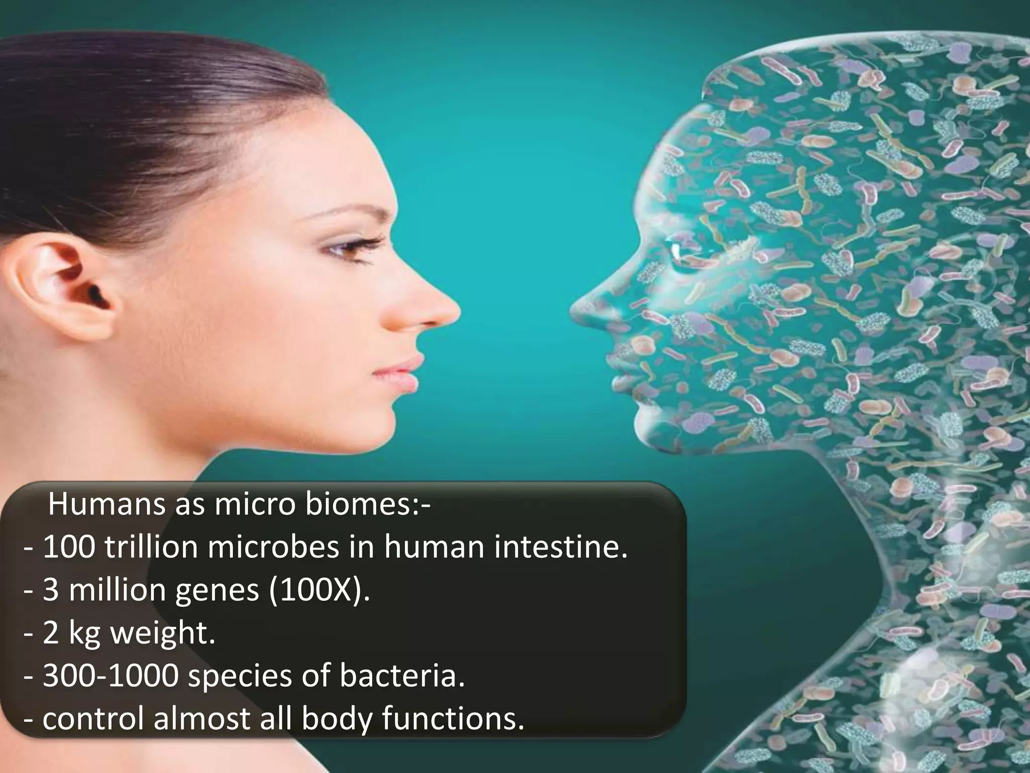 Human Microbiome - Gut Microbiota | PPSX
