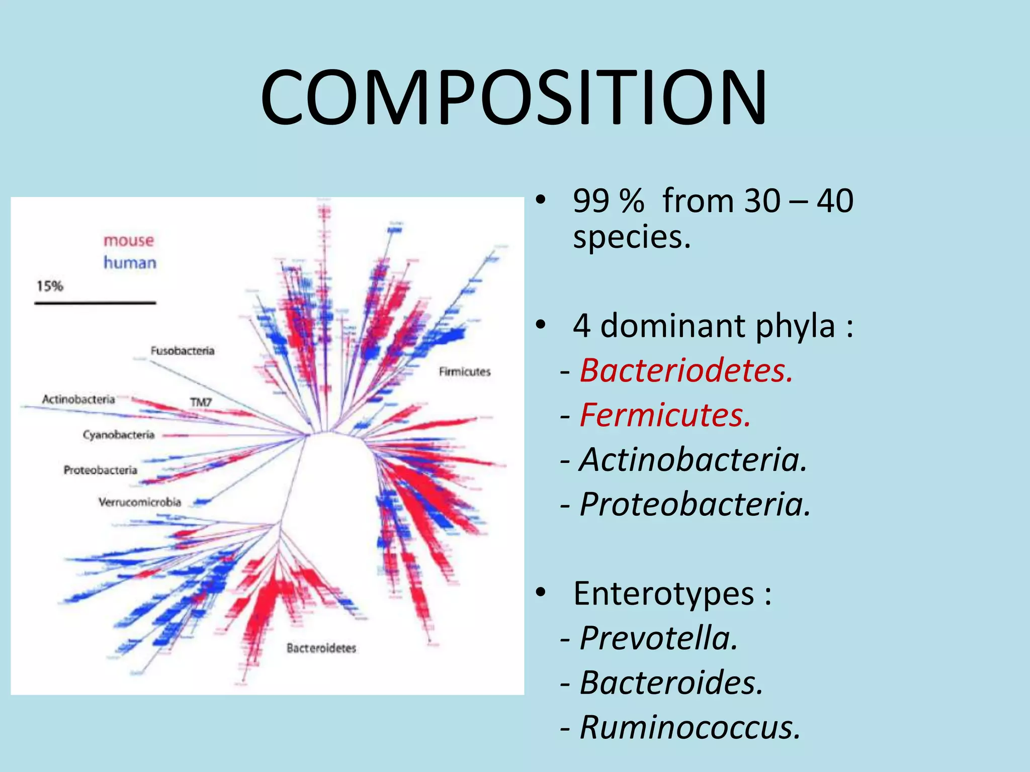 Human Microbiome - Gut Microbiota | PPSX