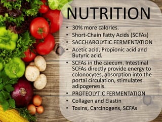 Human Microbiome - Gut Microbiota | PPSX