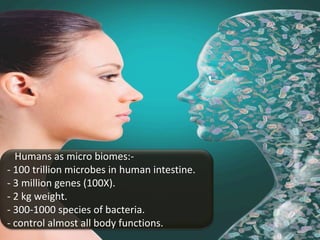 Human Microbiome - Gut Microbiota | PPSX