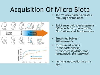 Human Microbiome - Gut Microbiota | PPSX