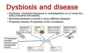 Gut microbiota in health and disease | PPTX