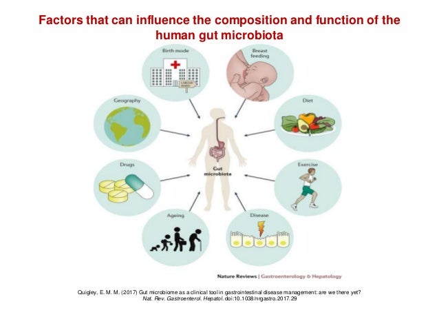 Gut Microbiota In Health And Disease