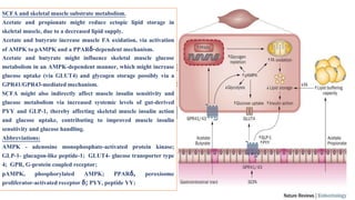 Gut microbiome and host health | PPT