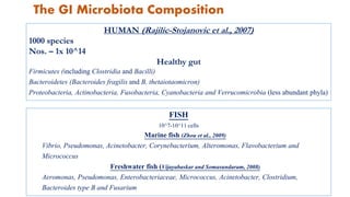Gut microbiome and host health | PPT