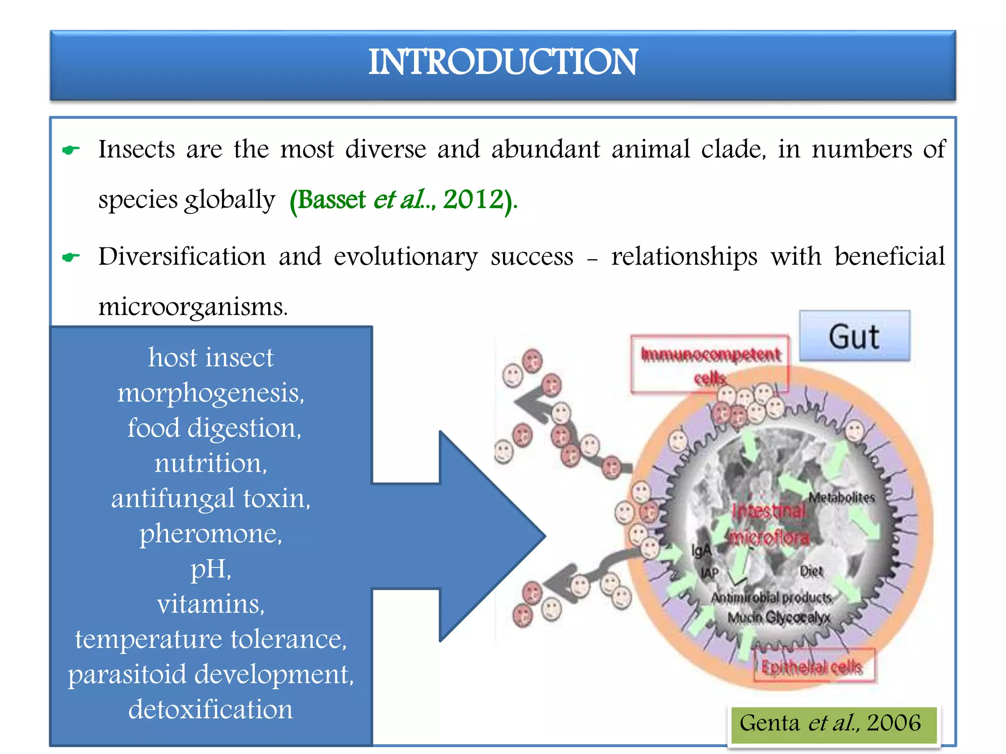 Gut microflora and their role in susceptibility of lepidopteran pests ...
