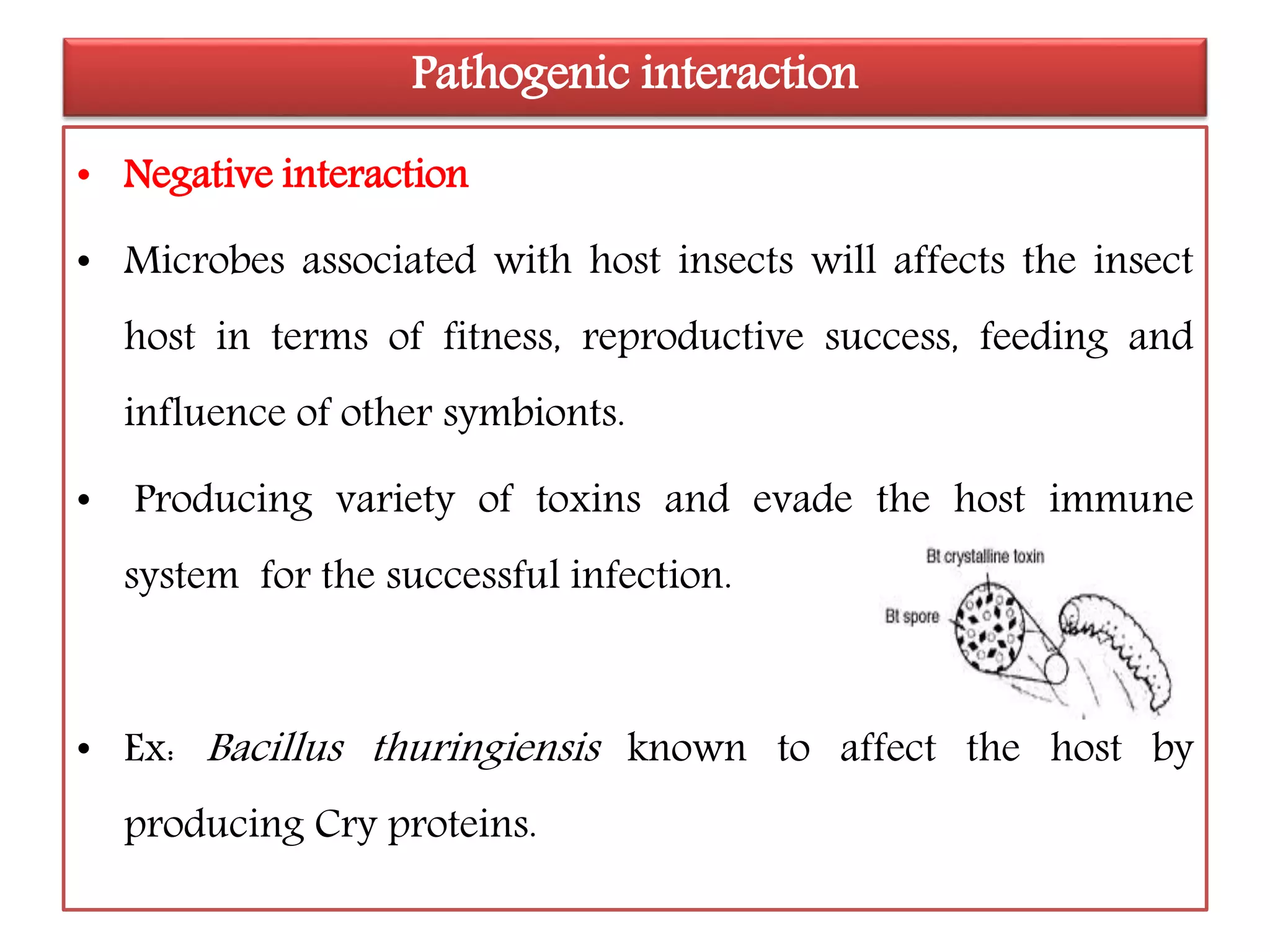 Gut microflora and their role in susceptibility of lepidopteran pests ...