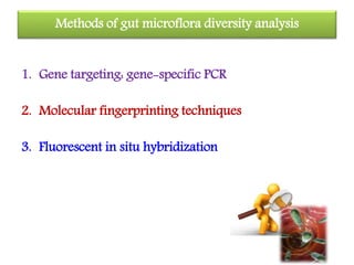 Gut microflora and their role in susceptibility of lepidopteran pests ...