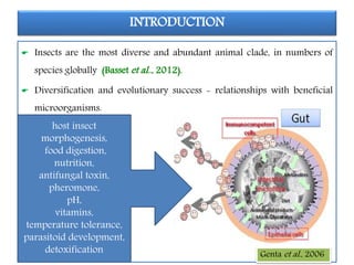 Gut microflora and their role in susceptibility of lepidopteran pests ...