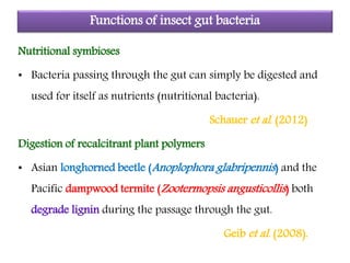 Gut microflora and their role in susceptibility of lepidopteran pests ...