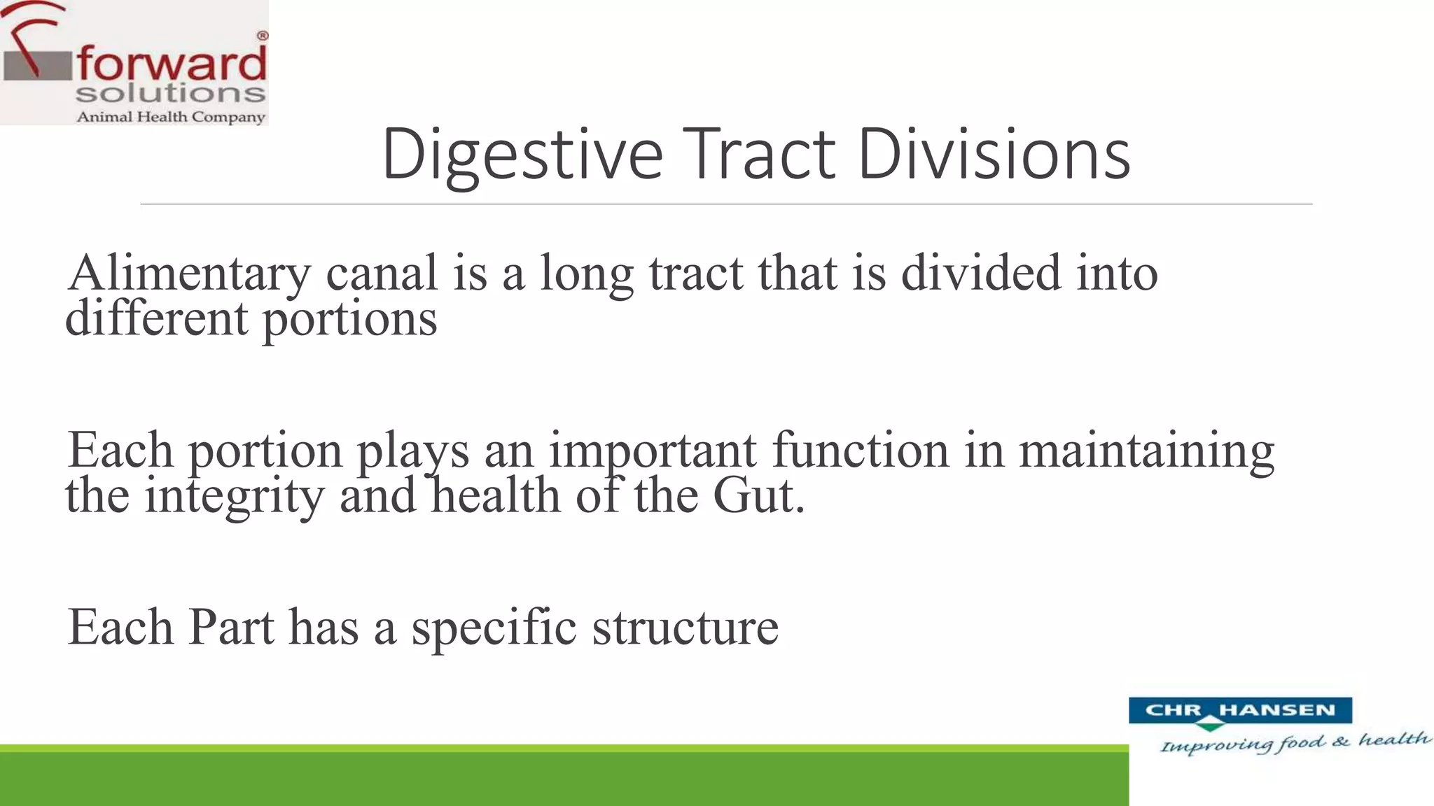 Gut physiology and health importance in commercial poultry | PPTX