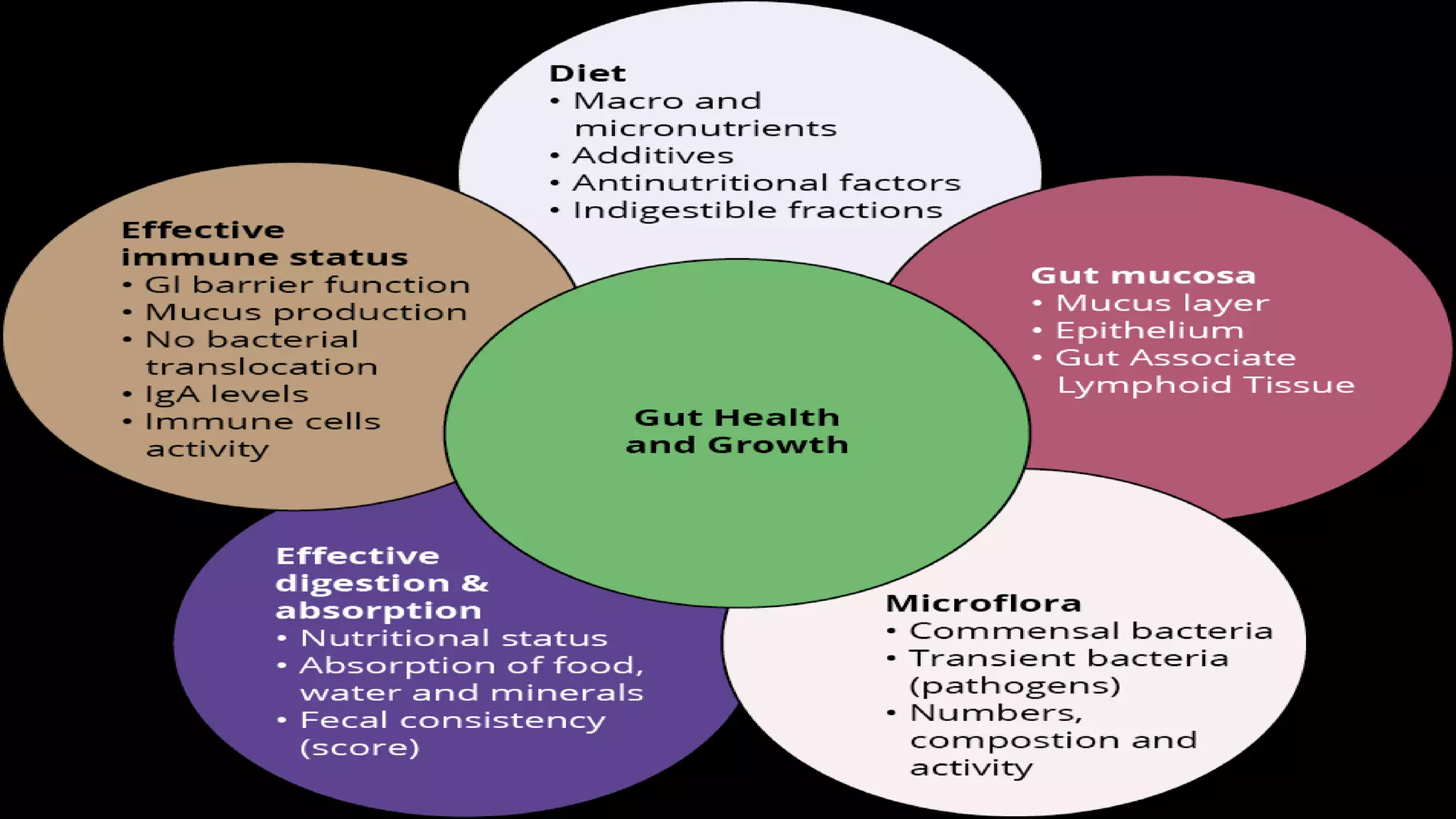Gut physiology and health importance in commercial poultry | PPTX